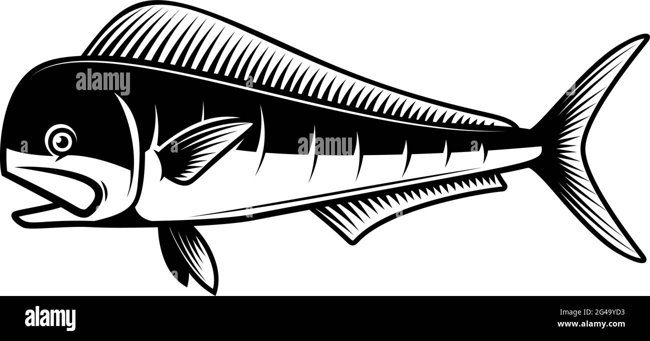 Mahi Mahi Symbolism at Dora Wagner blog