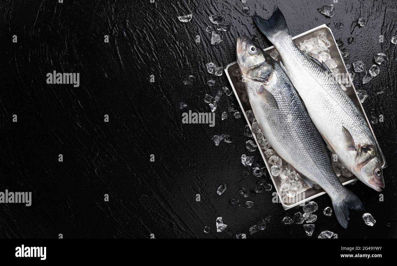 Stone bass fish hi-res stock photography and images - Alamy