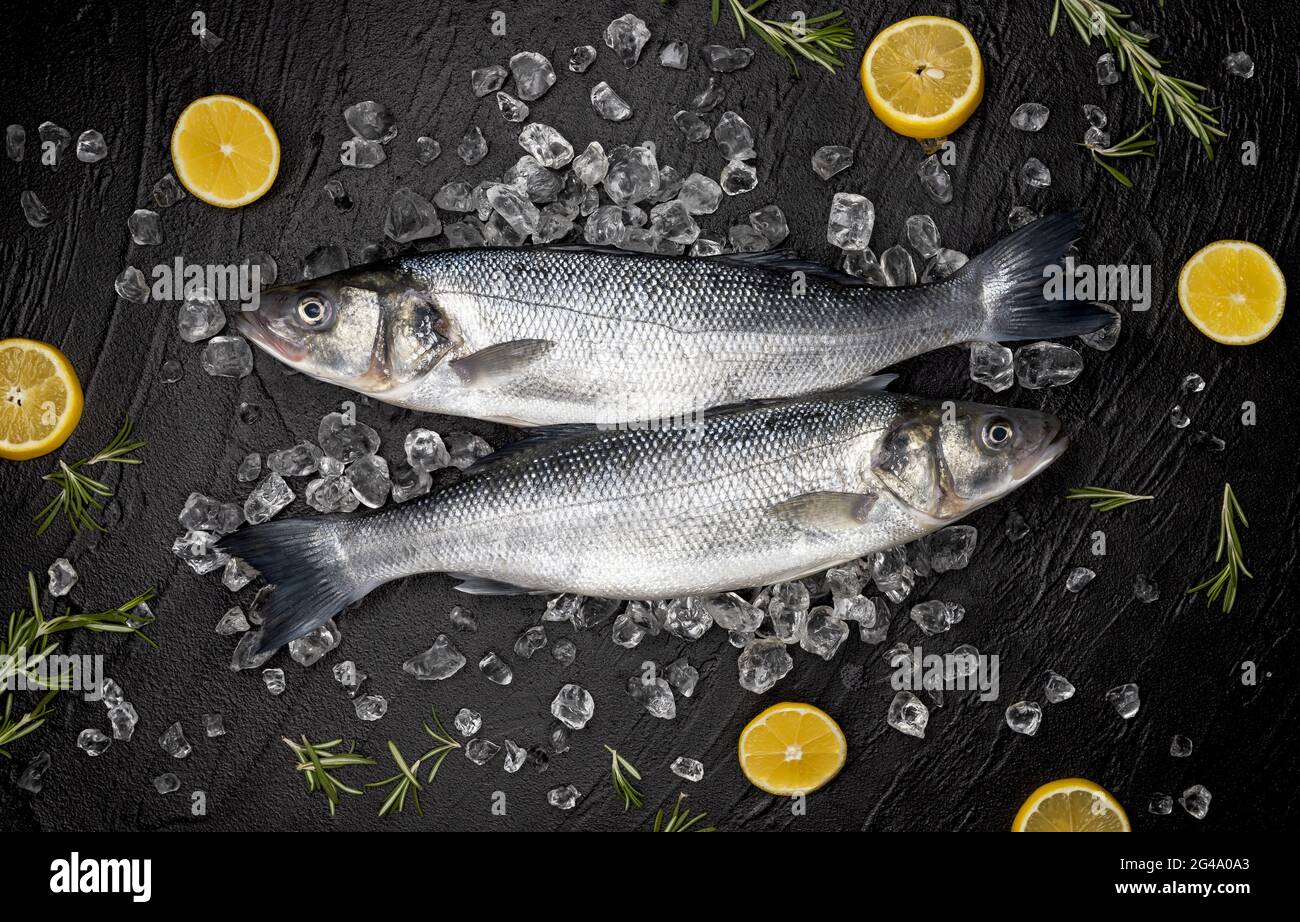 Stone bass fish hi-res stock photography and images - Alamy