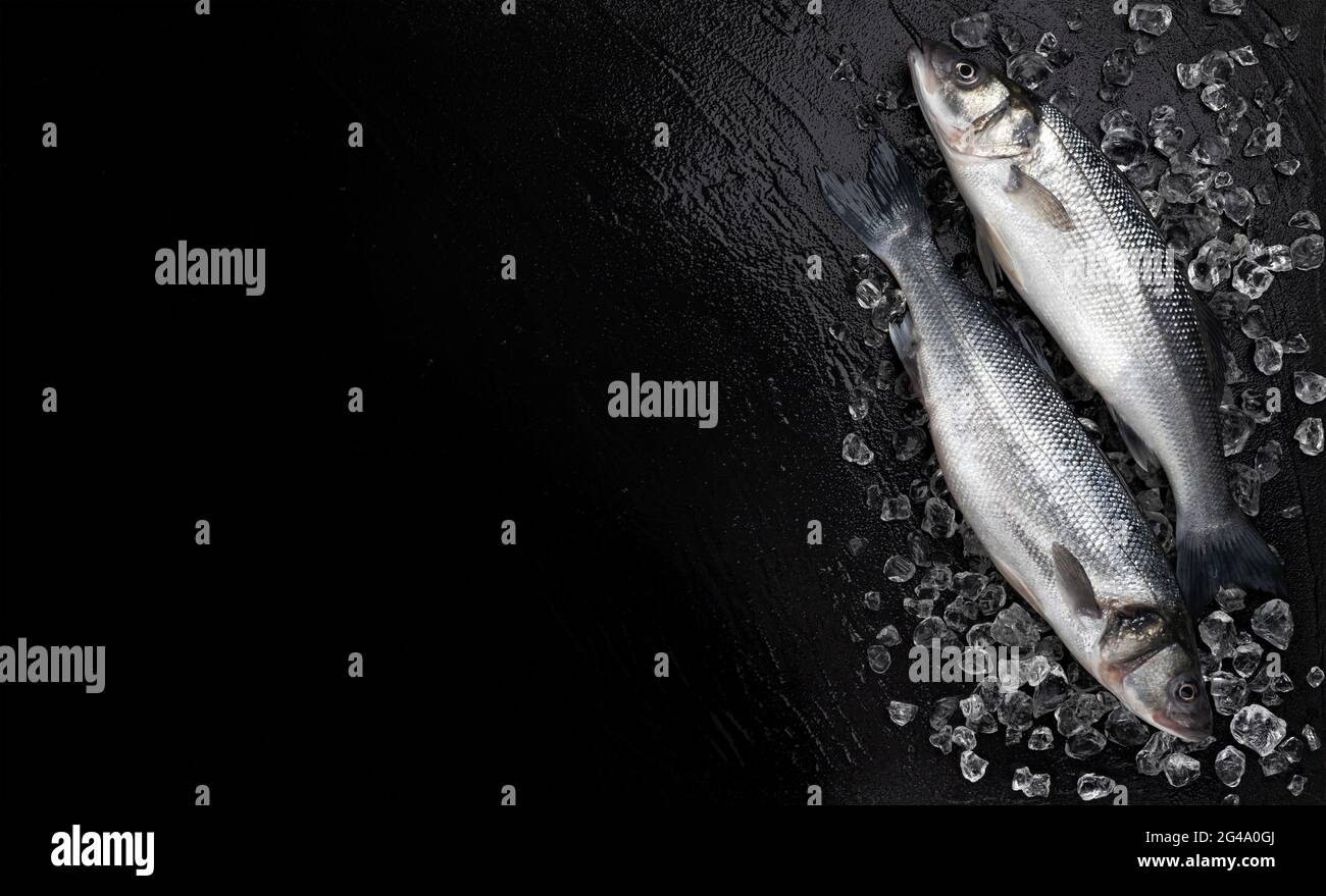 Top view seabass fish hi-res stock photography and images - Alamy