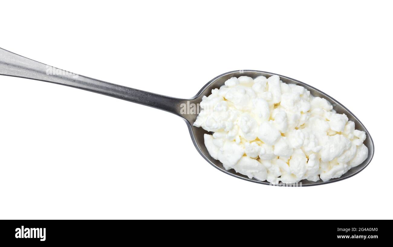Spoon of cottage cheese isolated on white background, top view Stock ...