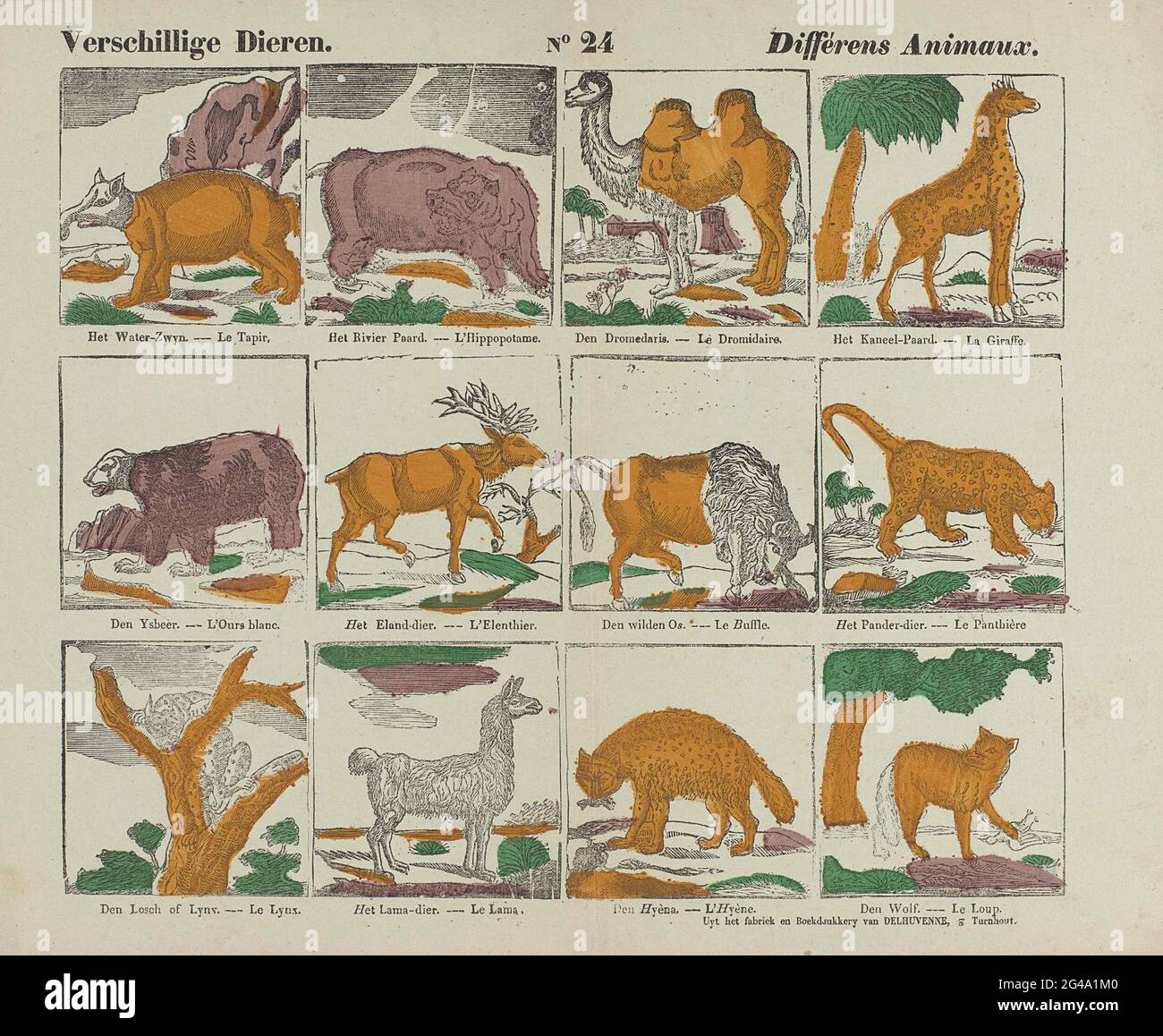 VIENCHED ANIMALS. / Différens Animaux. Sheet with 12 performances of ...