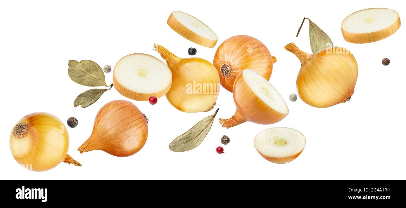 Falling onion isolated on white background with clipping path Stock ...
