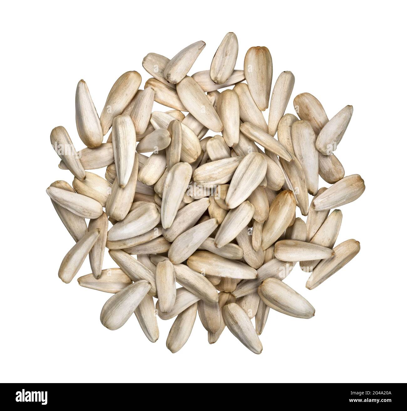 Dry sunflower seeds isolated on white background with clipping path ...