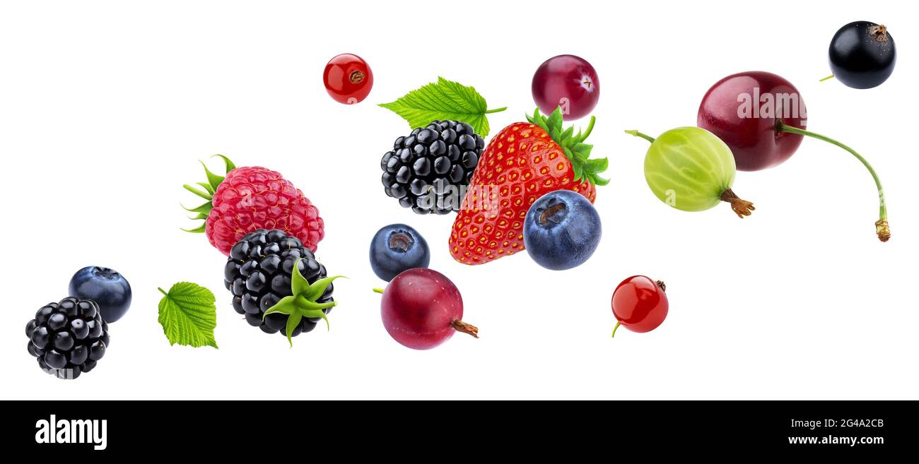 Falling berries collection isolated on white background Stock Photo - Alamy