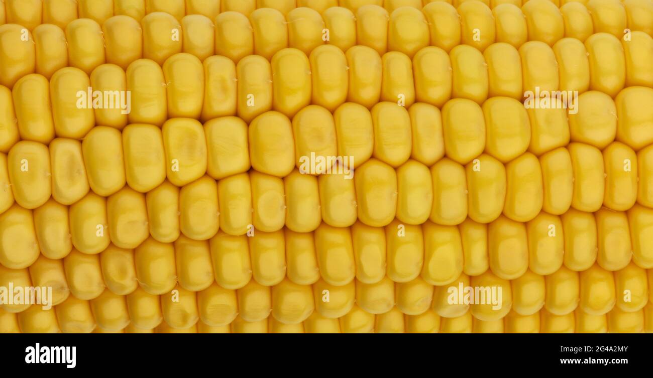 Corn seed texture hi-res stock photography and images - Alamy