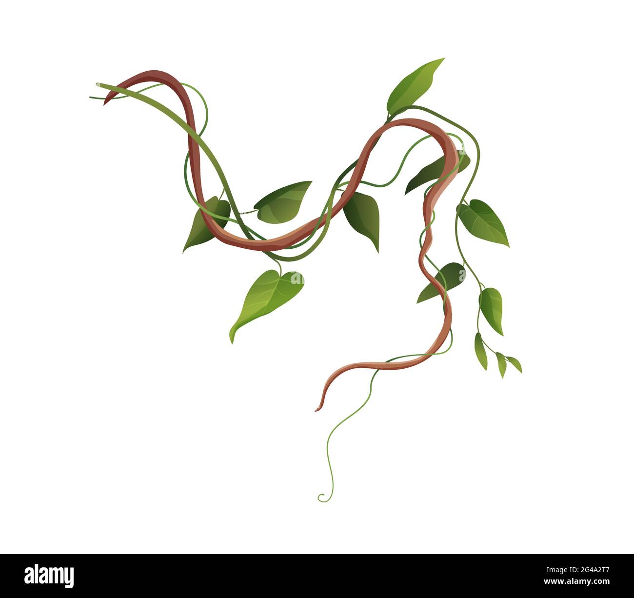 Frame climbing plants Stock Vector Images - Alamy