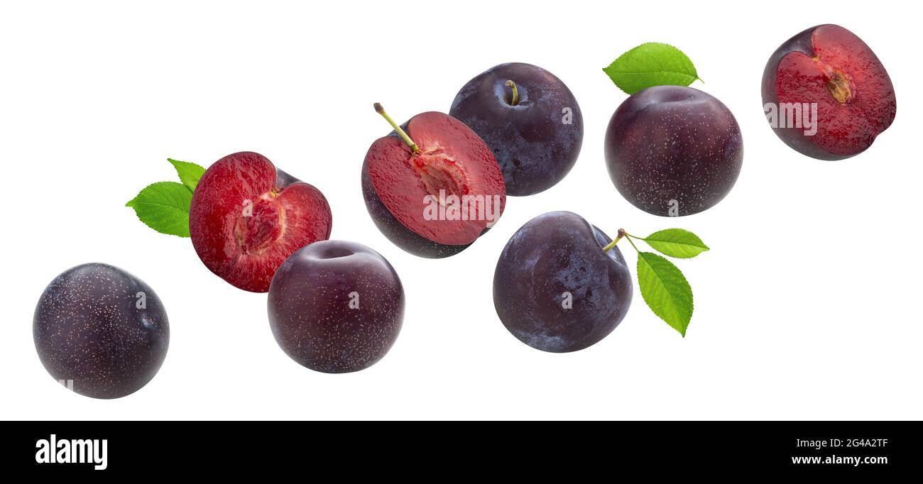 Falling plums with leaves isolated on white background Stock Photo - Alamy