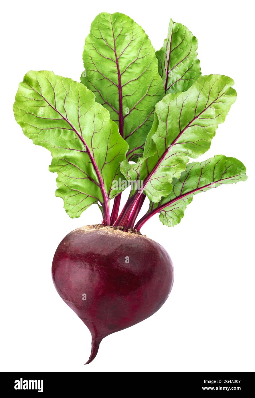 Beetroot isolated on white background with clipping path Stock Photo ...