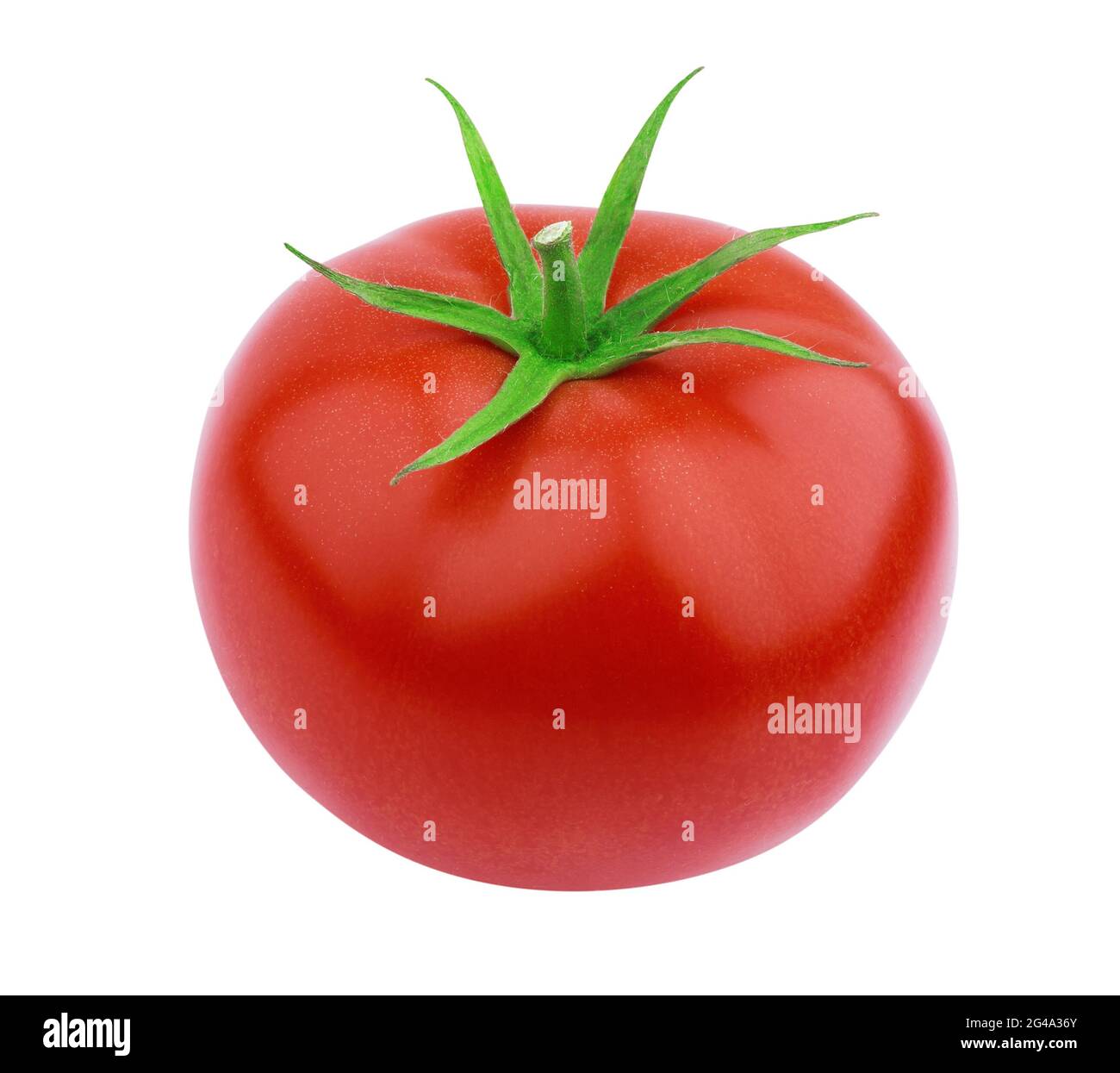 One tomato isolated isolated on white background Stock Photo - Alamy
