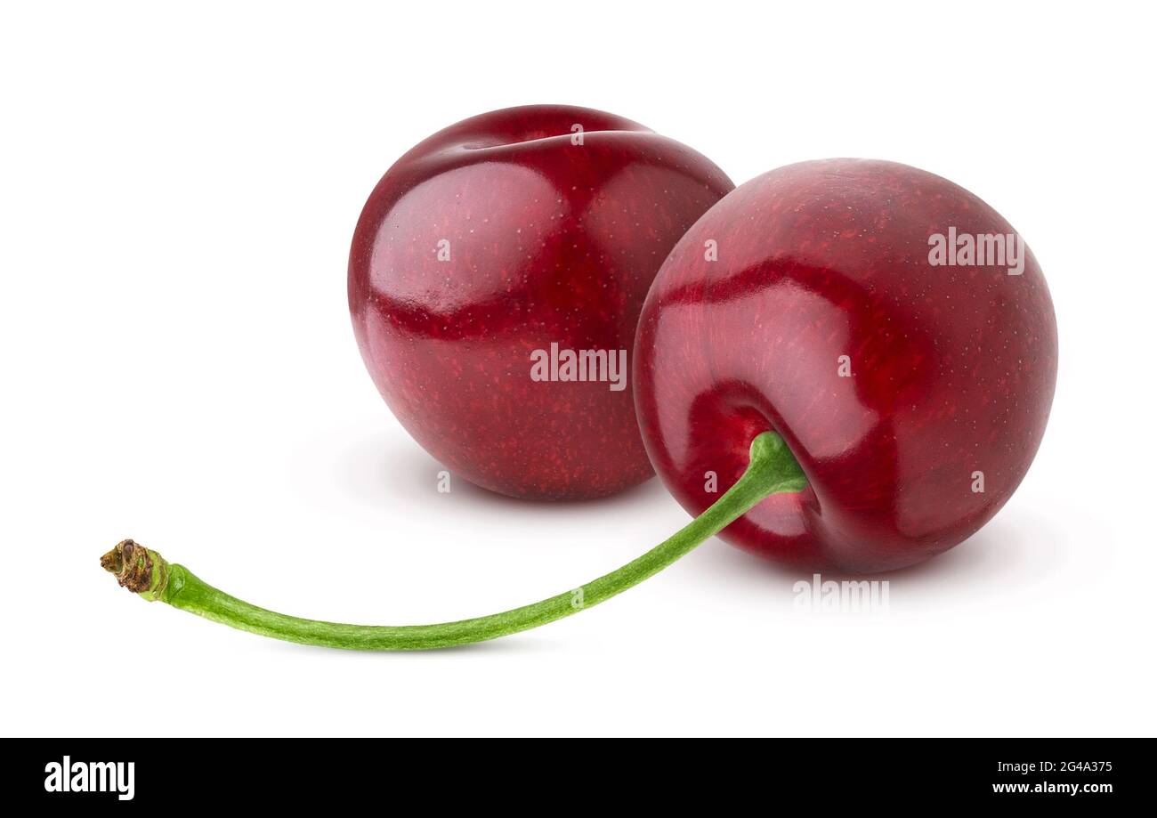 Two fresh cherries isolated on white background Stock Photo - Alamy