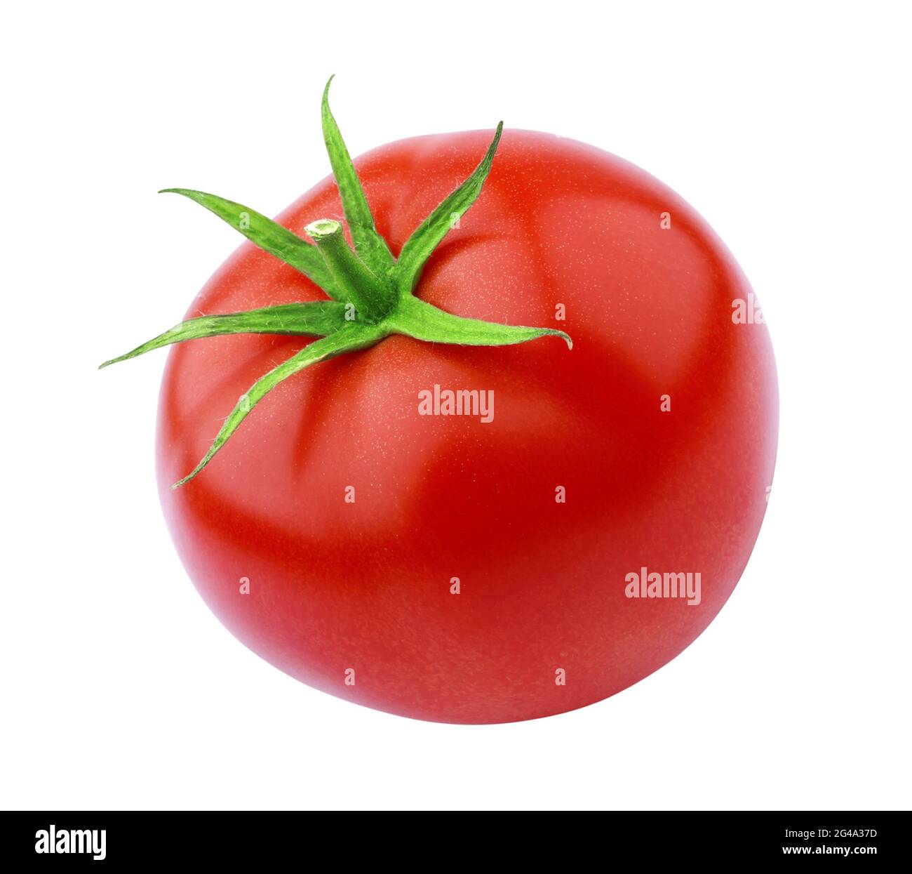 One tomato isolated isolated on white background Stock Photo - Alamy