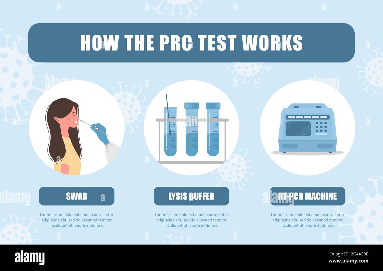 How PCR test works. Nasal swab laboratory analysis of biomaterial ...
