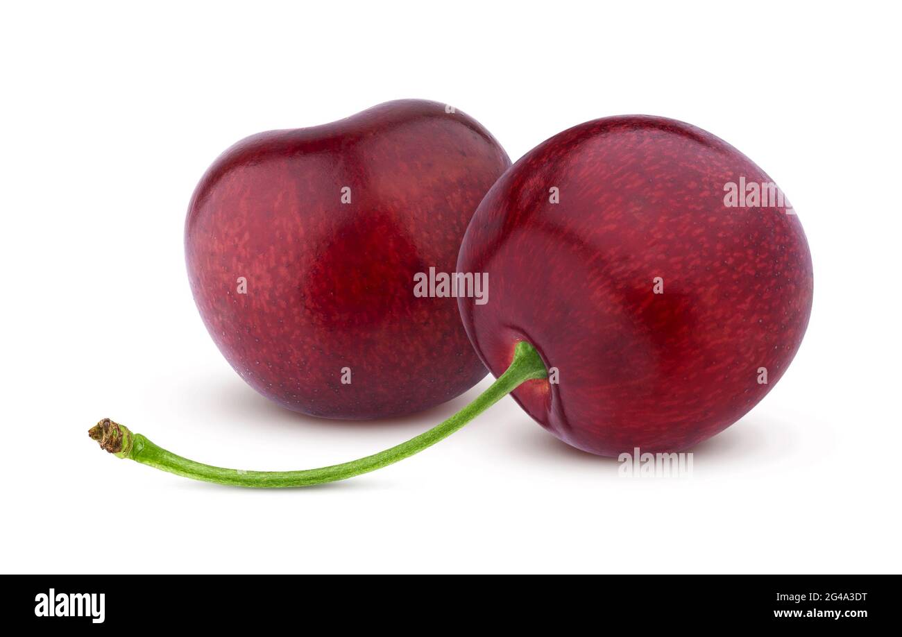Two fresh cherries isolated on white background Stock Photo - Alamy