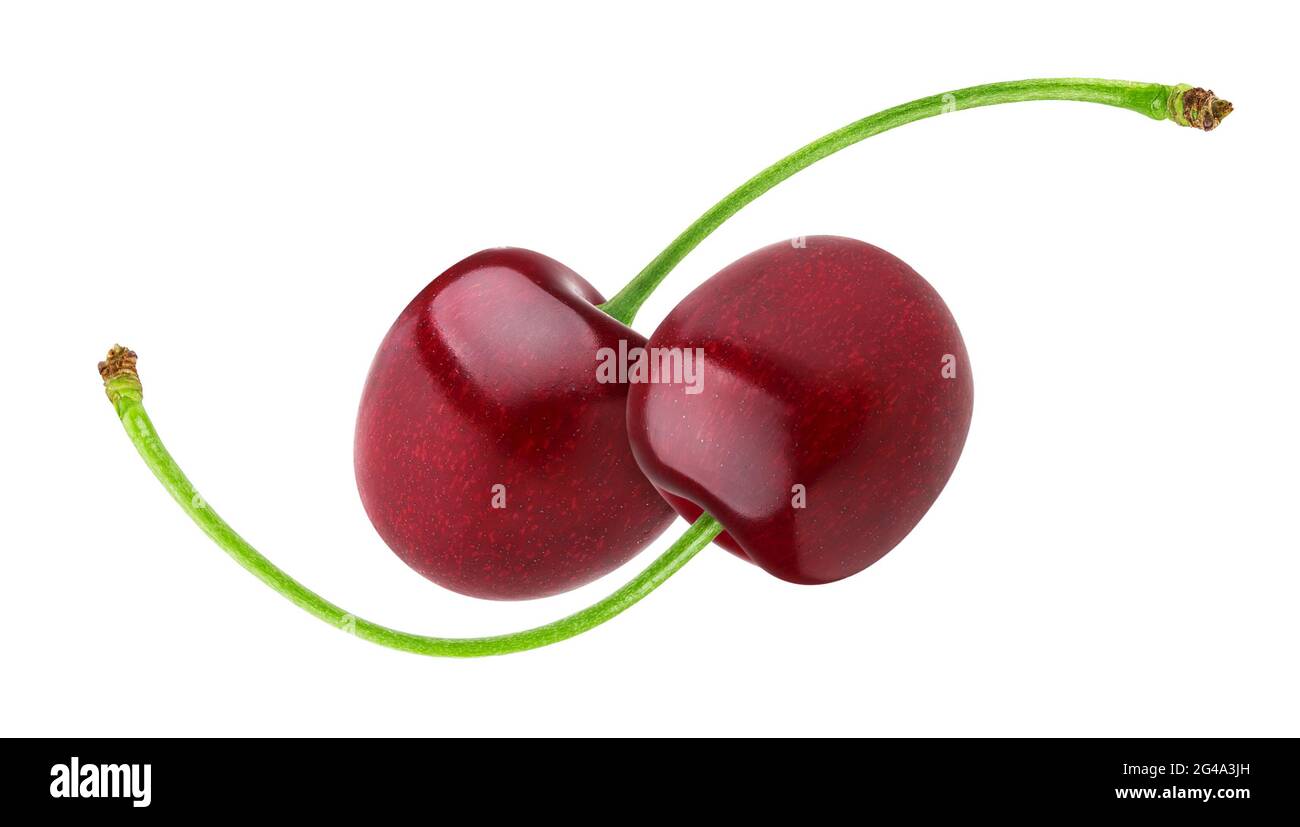 Two fresh cherries isolated on white background Stock Photo - Alamy