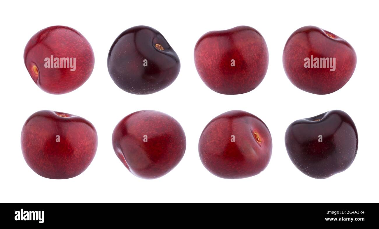 Isolated cherry. Collection of cherries isolated on white background ...