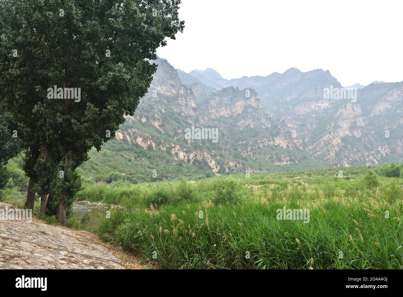 Stream body of water hi-res stock photography and images - Alamy