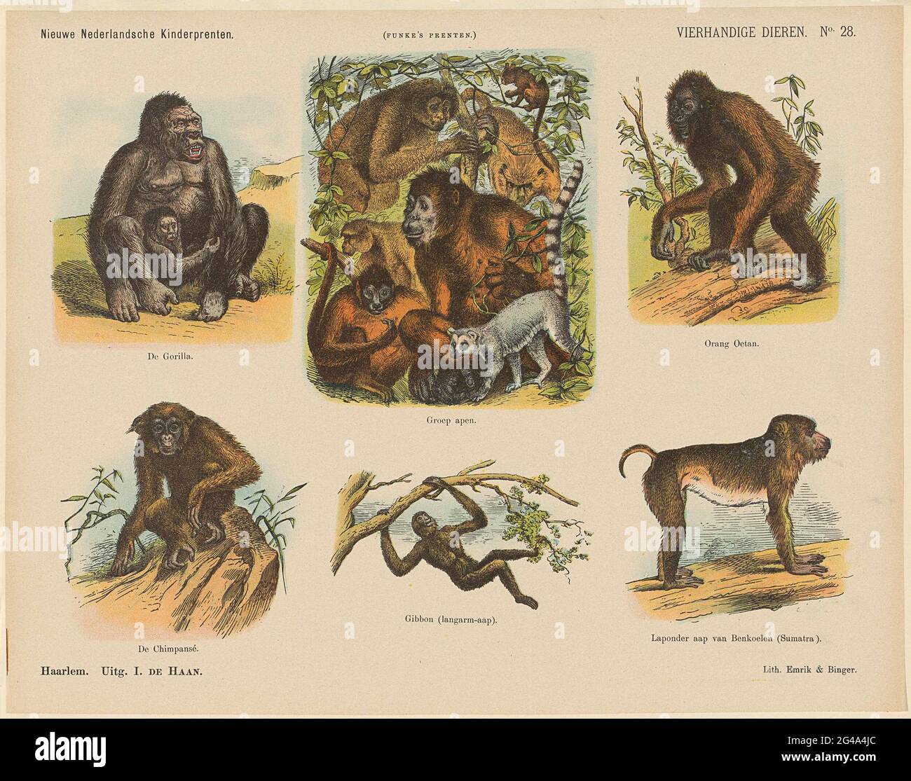 Four-handed animals; New Dutch childrens prints; Funke's prints. Leaf ...