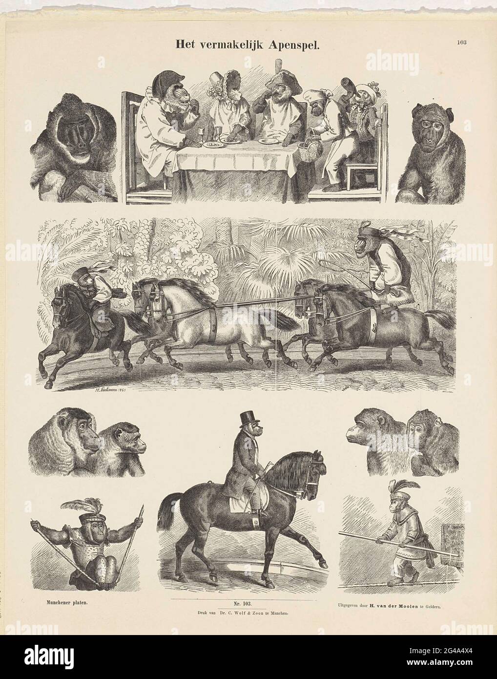 Wolf People Circus