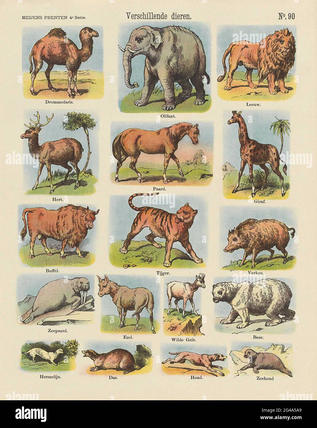 Different animals; Meijer's prints. Leaf with 17 performances of ...