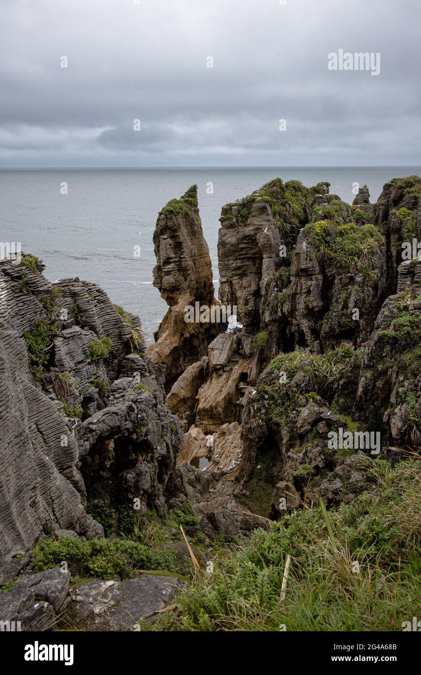 Punakaiki pancake rocks and blowhole walk, New Zealand. A limestone ...