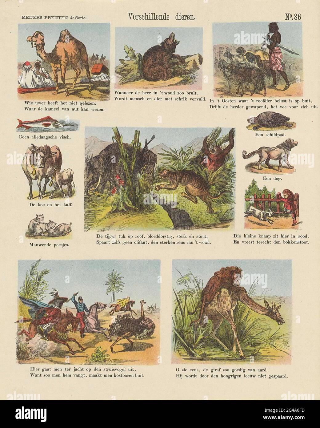 Different animals; Meijer's prints. Leaf with 12 performances from ...