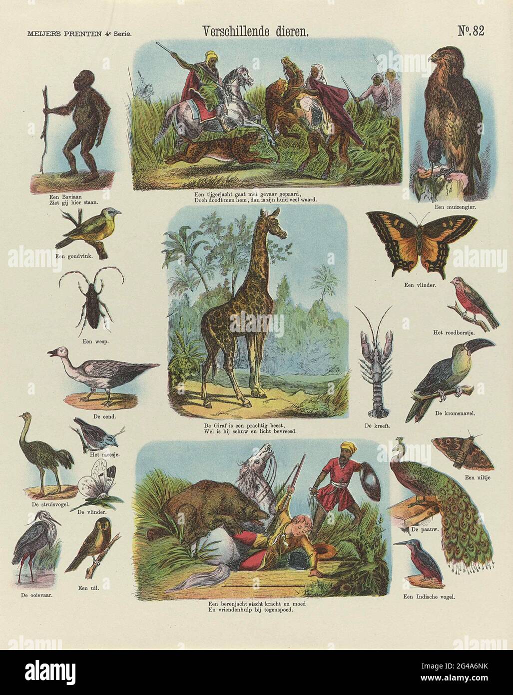 Different animals; Meijer's prints. Sheet with 20 performances from ...