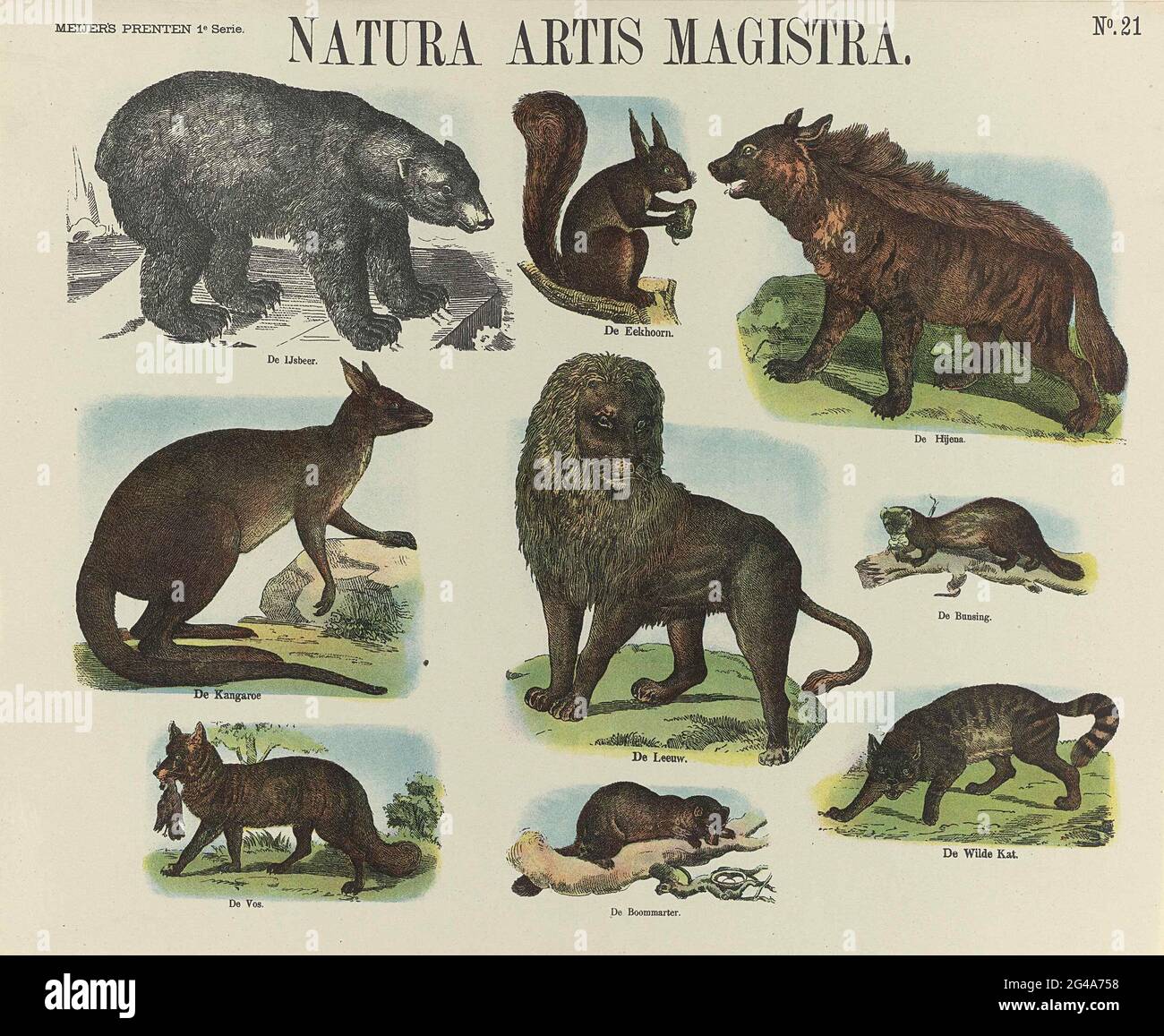 Natura Artis Magistra; Meijer's prints. Leaf with 9 performances of ...