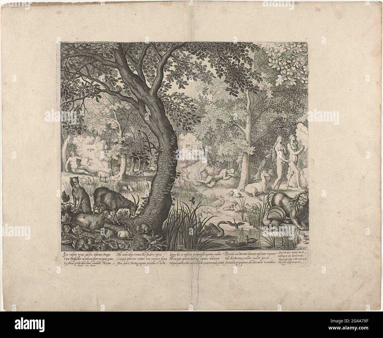 Creation of Adam and Eve; Spacious bible. The paradise with entirely ...