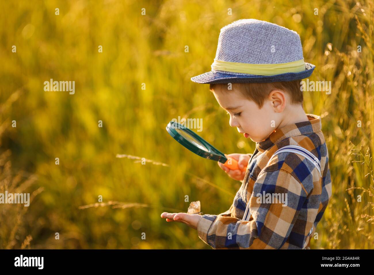 little boy exploring nature in the meadow with a magnifying glass Stock ...