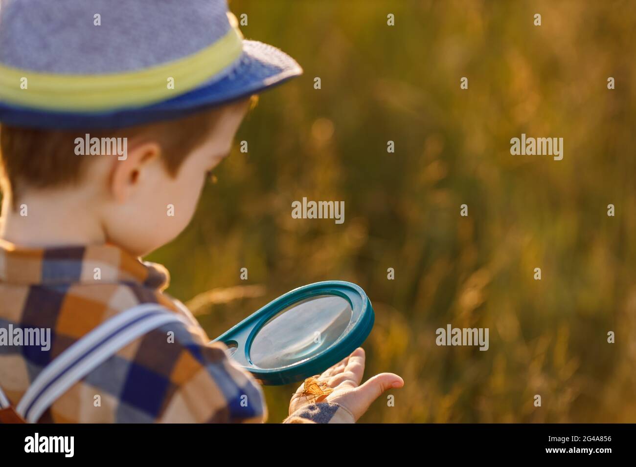 little boy exploring nature in the meadow with a magnifying glass Stock ...