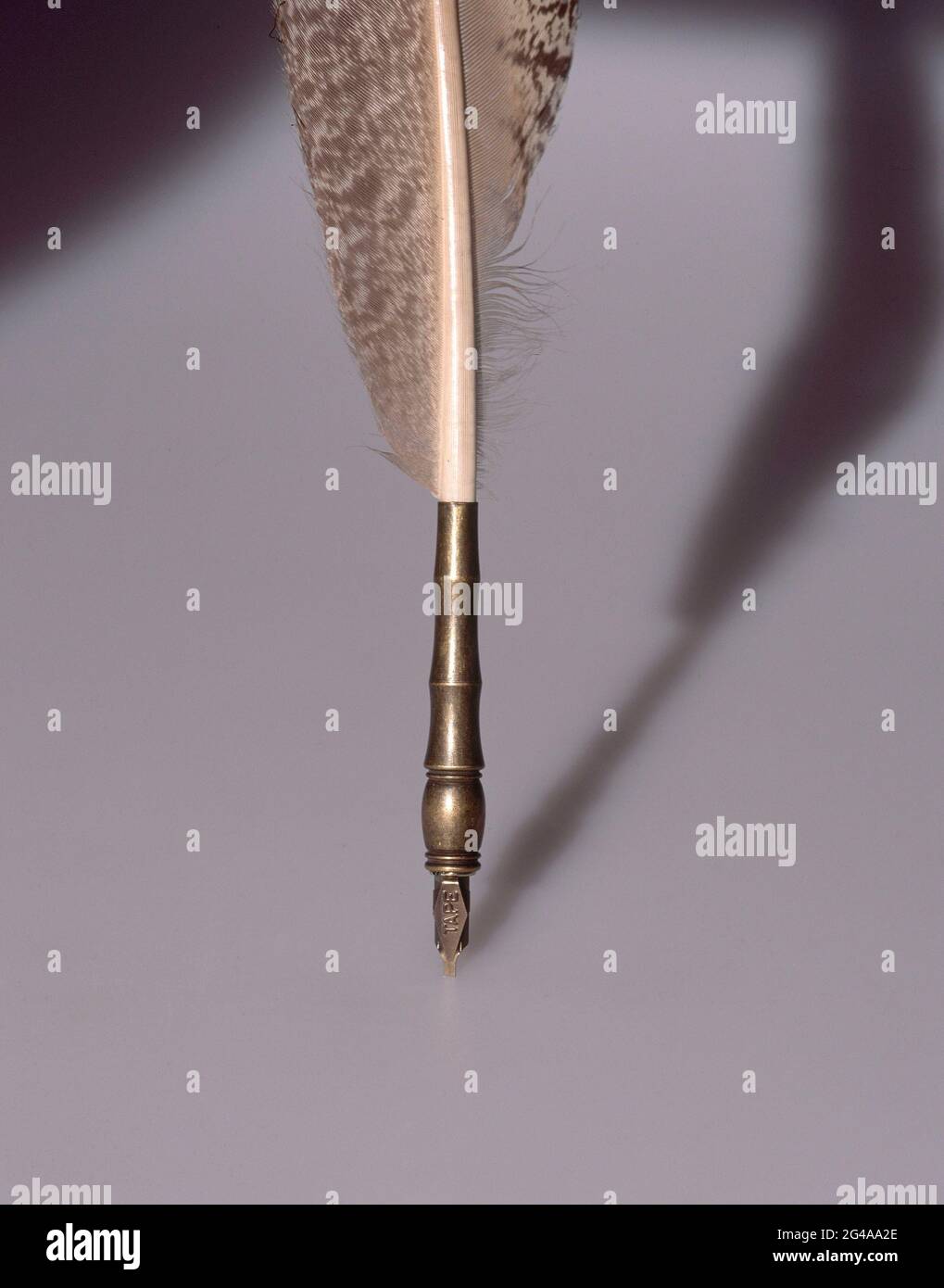 Pluma collection hi-res stock photography and images - Alamy