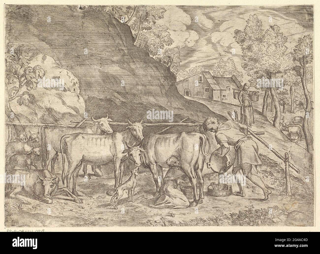 Landscape with dairy cow. Landscape with cows and sheep. A farmer is ...