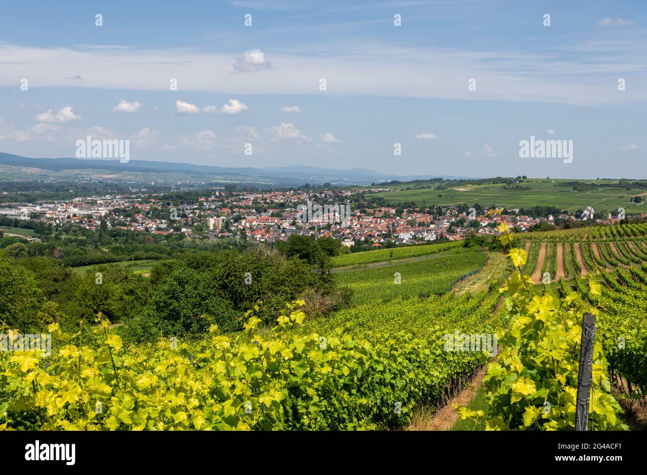 Ingelheim skyline hi-res stock photography and images - Alamy