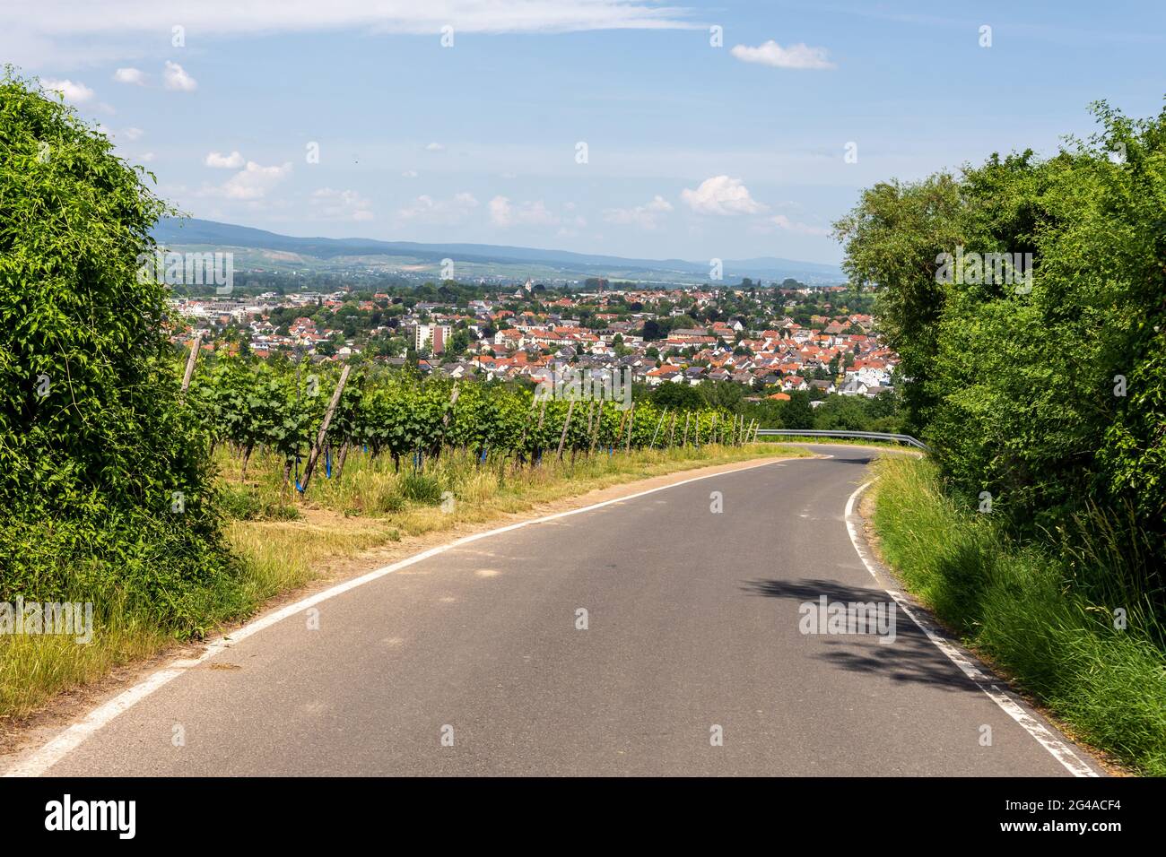 Ingelheim skyline hi-res stock photography and images - Alamy