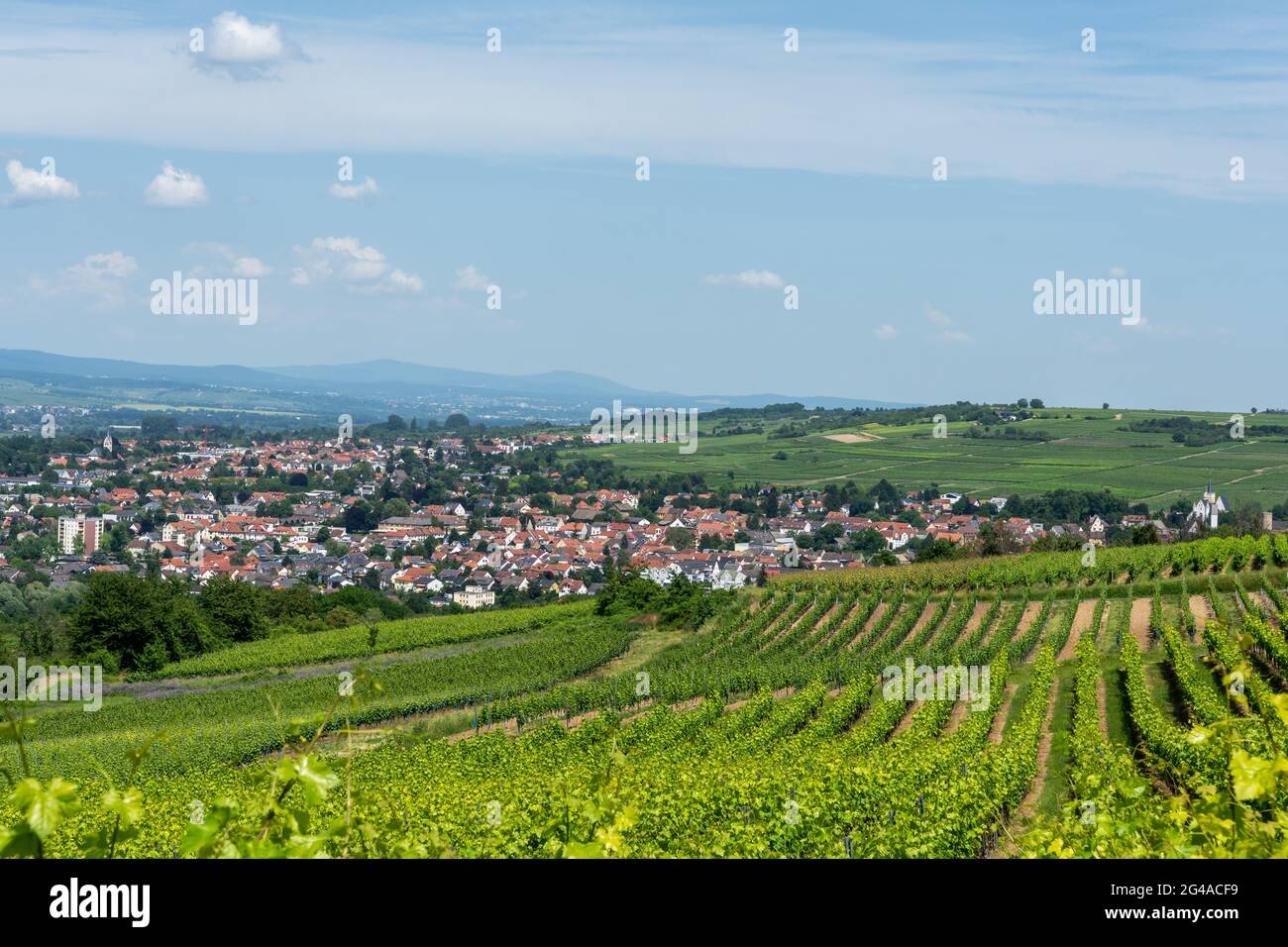 Ingelheim skyline hi-res stock photography and images - Alamy