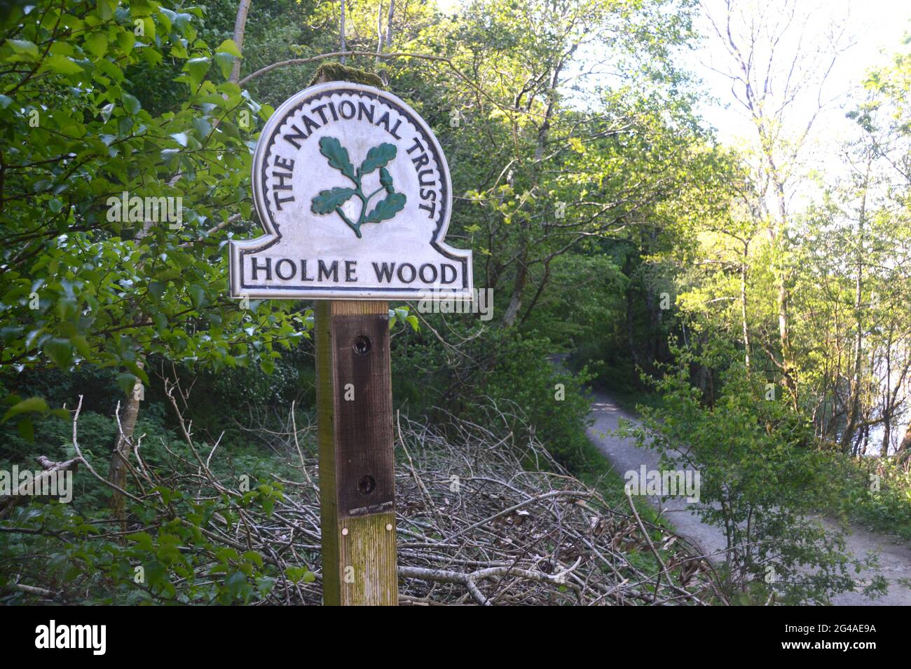 National Trust Signpost for Holme Wood by Loweswater Lake in the Lake ...