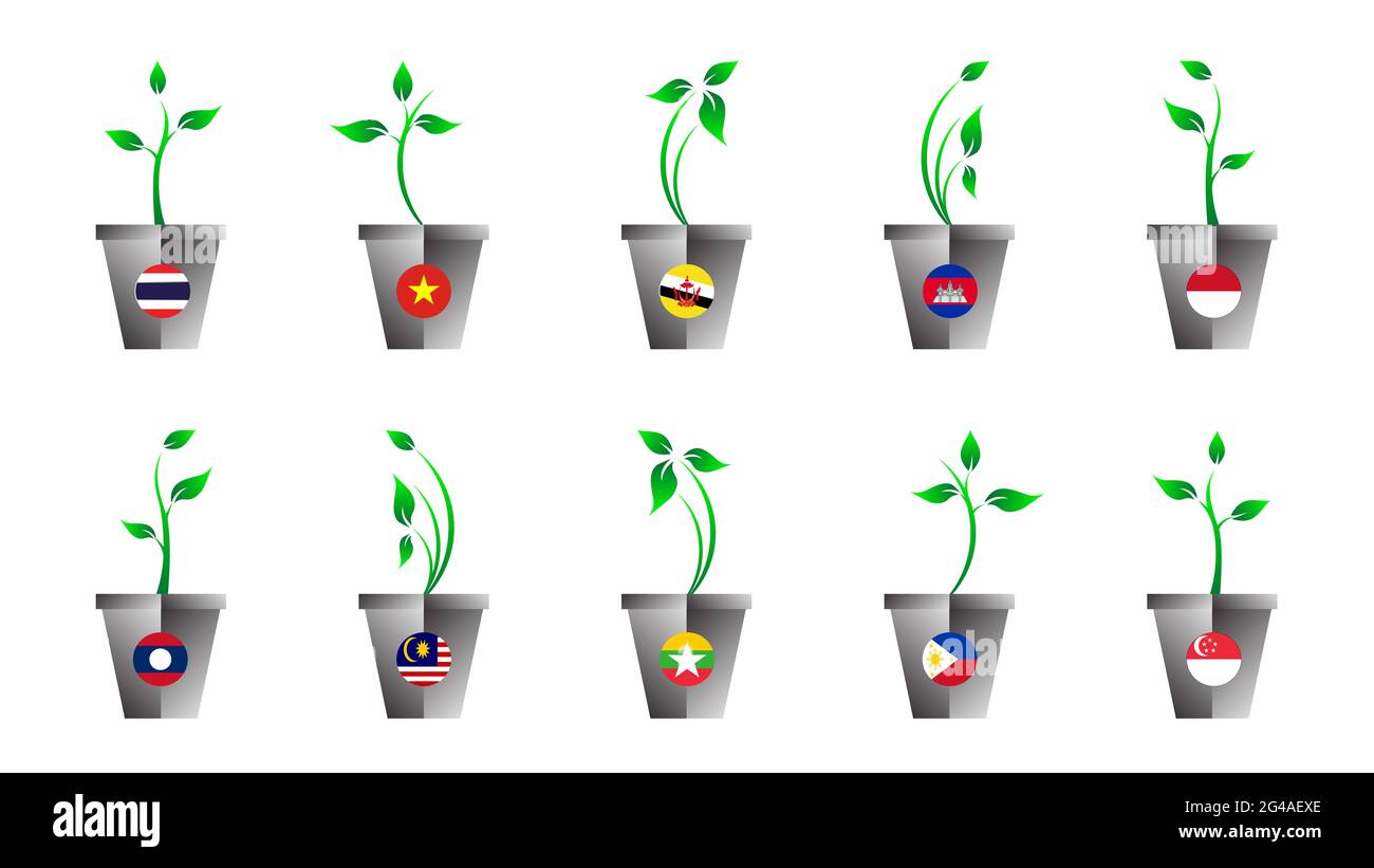 Flag of ASEAN member in emoji design growing up as sapling in vase ...