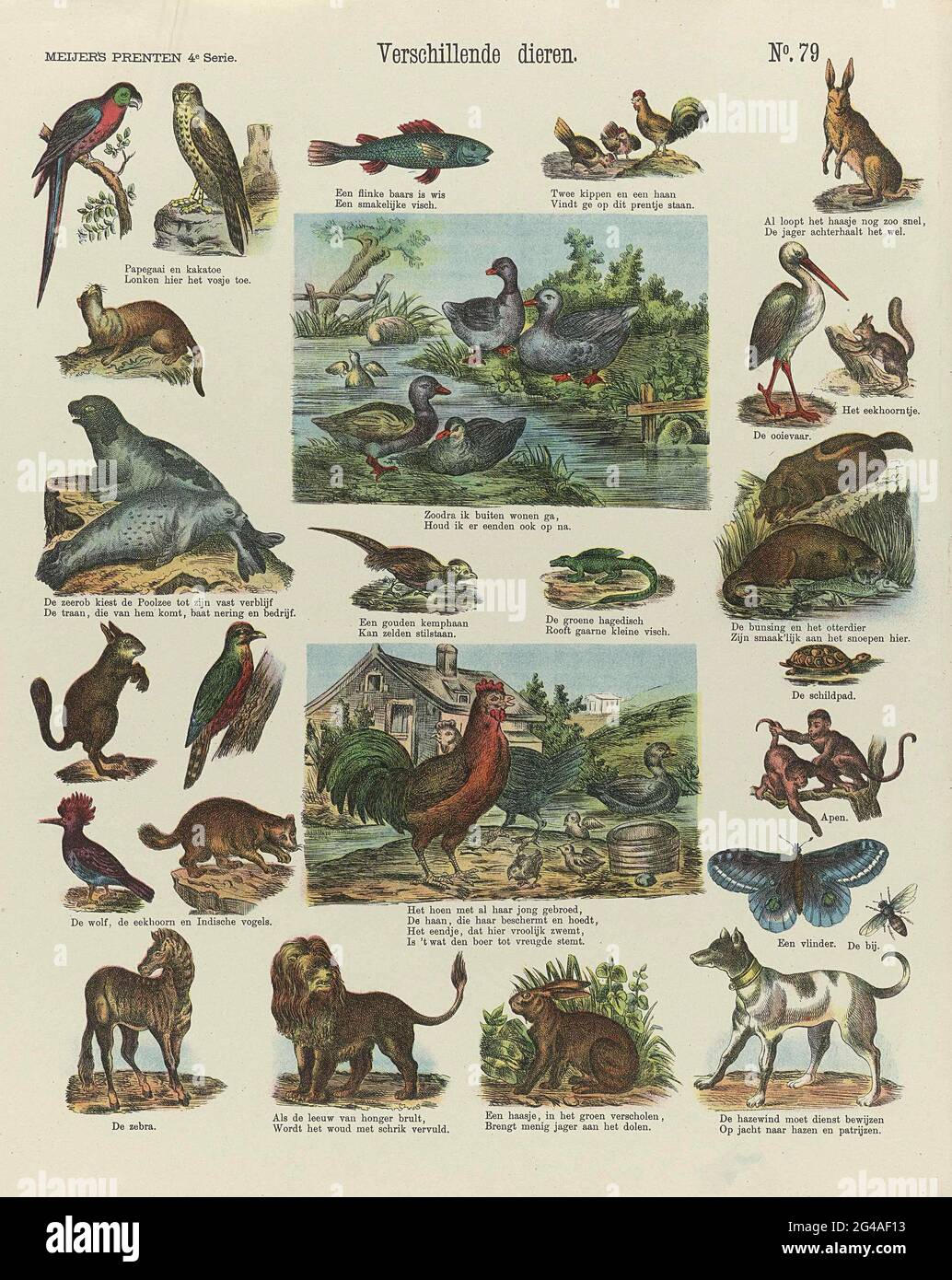 Different animals; Meijer's prints. Leaf with 26 performances of ...