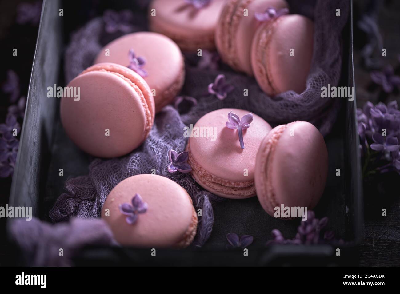 Unique violet lilac macaroons. Concept for gift card. Beautiful ...