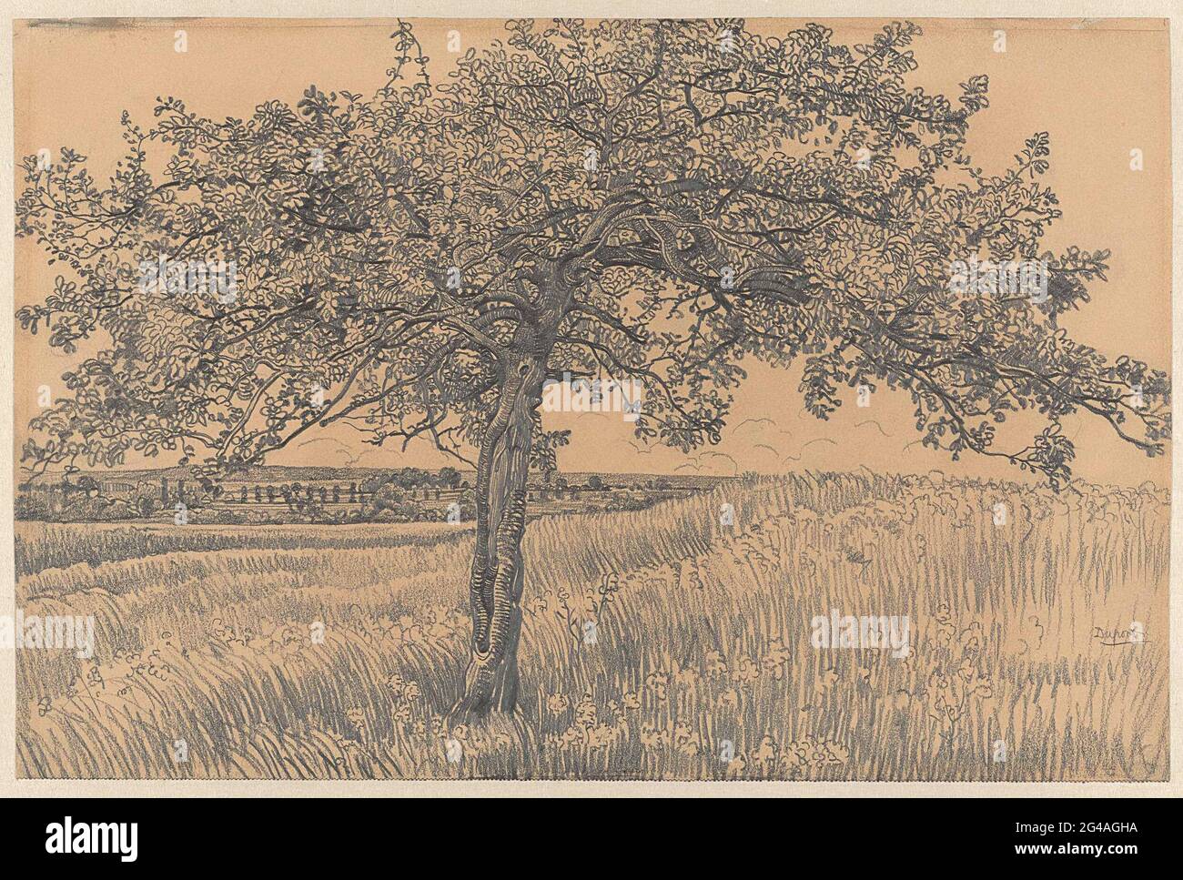 Apple tree in landscape Stock Photo - Alamy