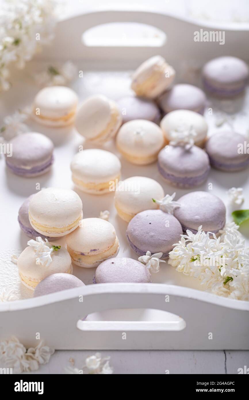 Beautiful lilac flavored macaroons. Dessert concept for summer ...