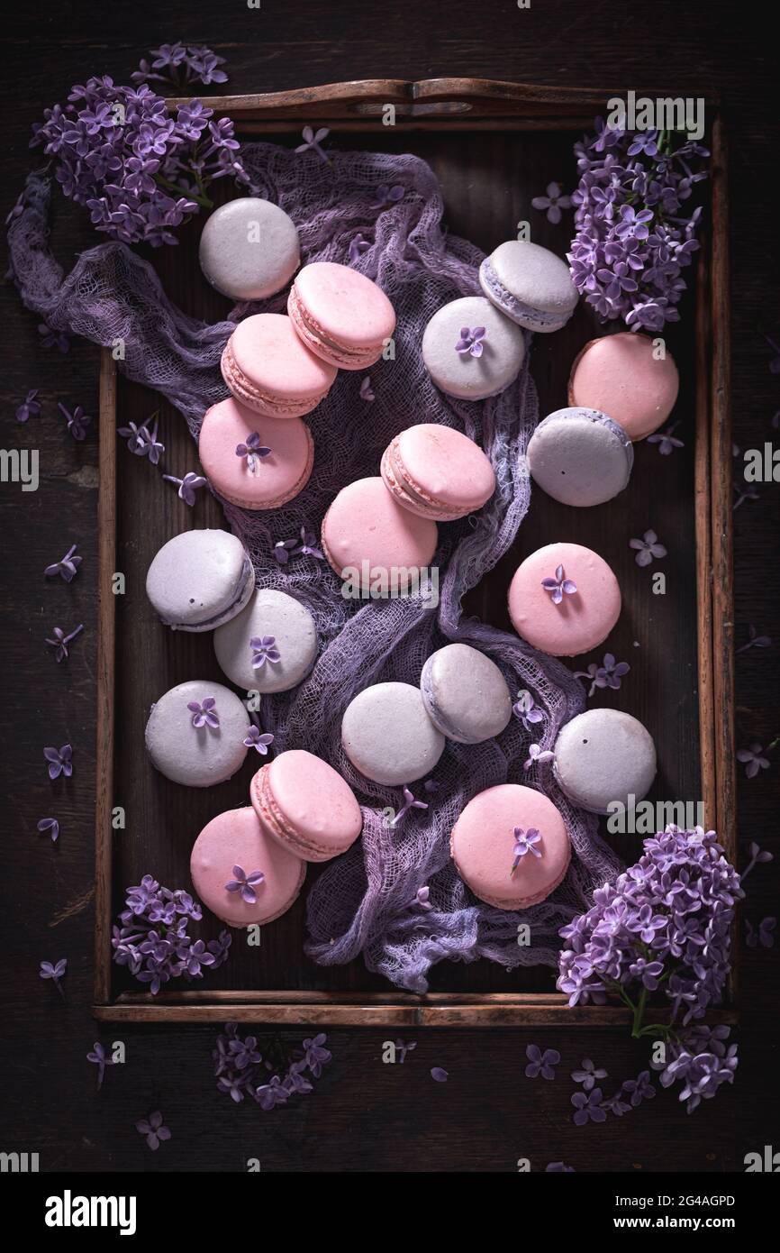 Homemade lilac flavored macaroons. Summer dessert composition ...