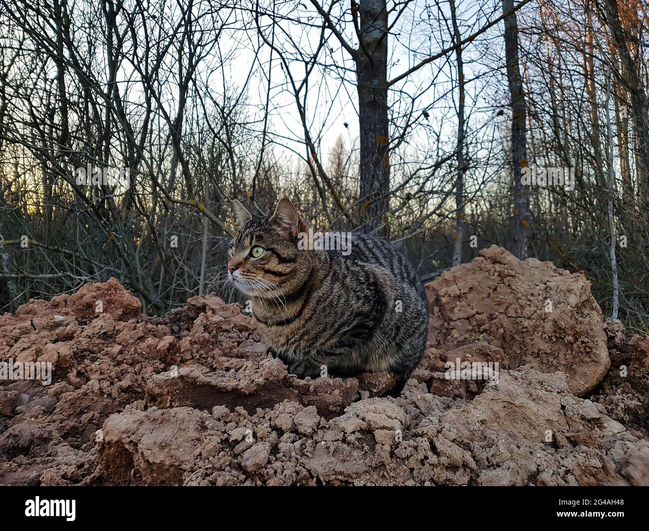 Groundand hi-res stock photography and images - Alamy