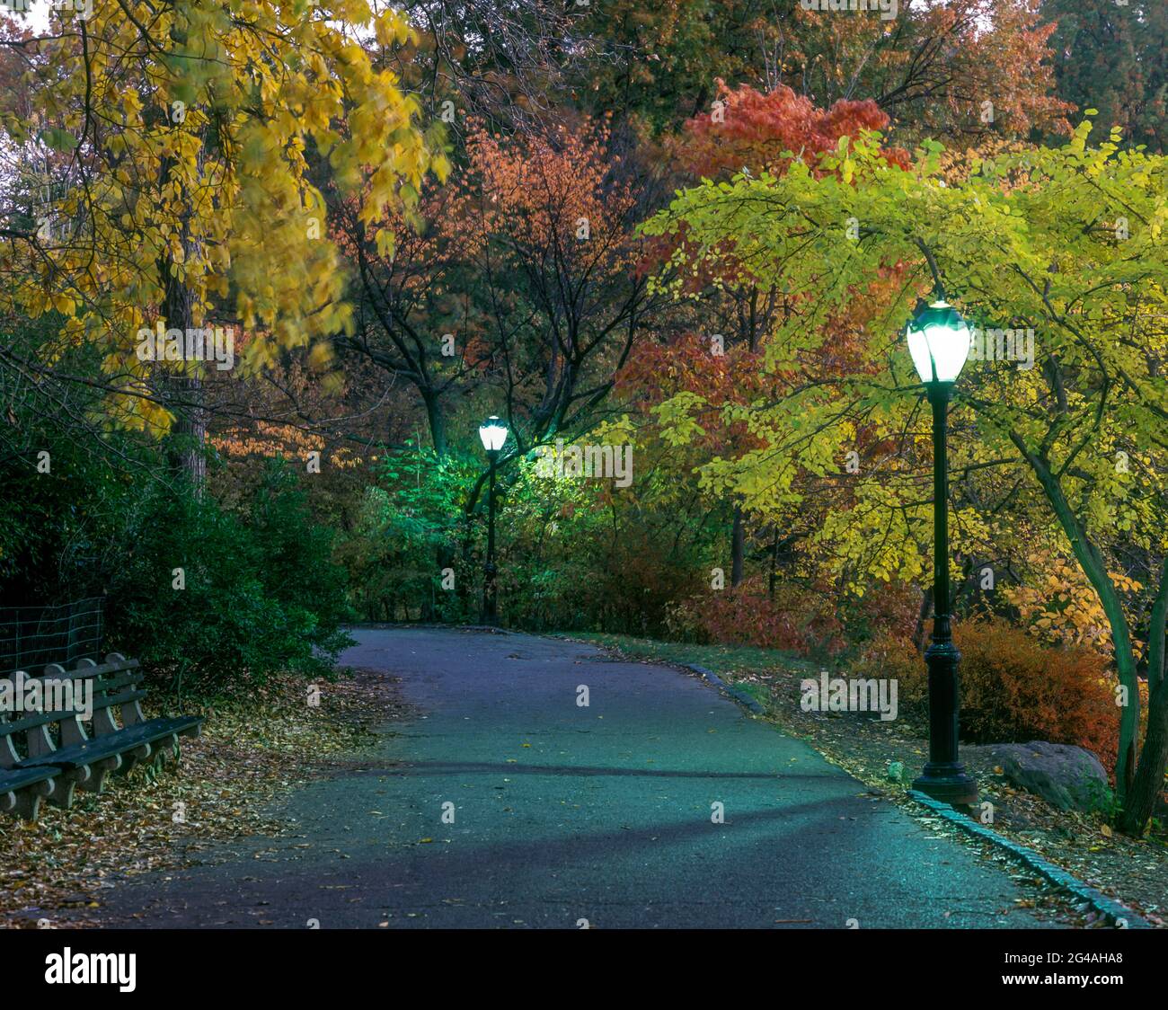 2006 HISTORICAL FALL FOLIAGE PATH CENTRAL PARK MANHATTAN NEW YORK CITY ...