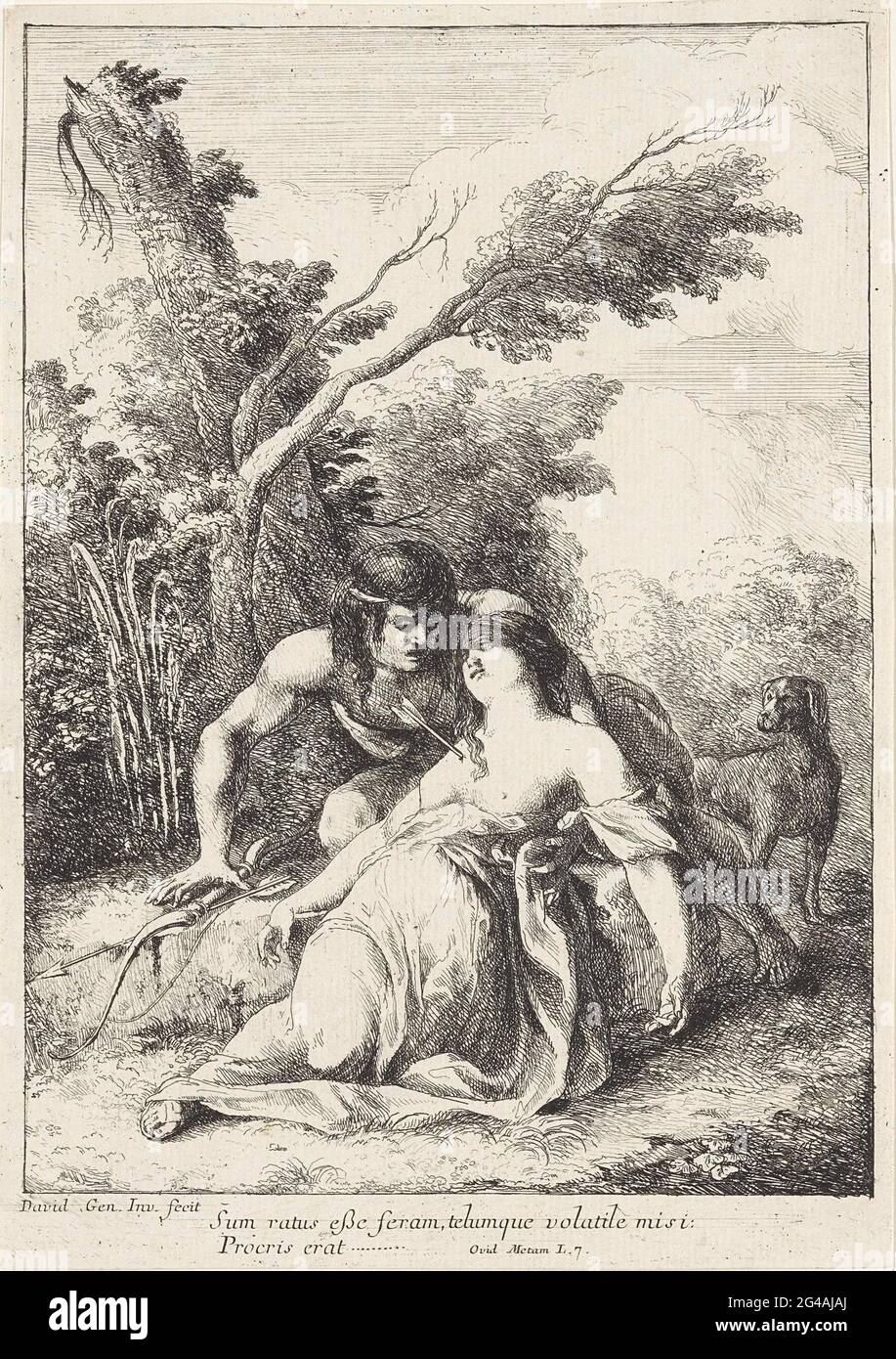 Dead procris hi-res stock photography and images - Alamy