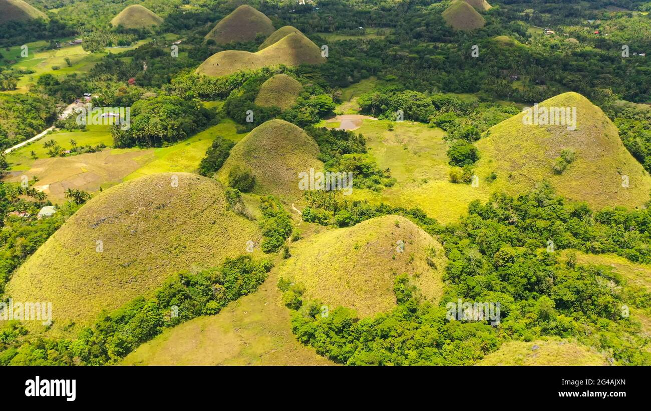 Amazingly shaped Chocolate hills on sunny day on Bohol island ...