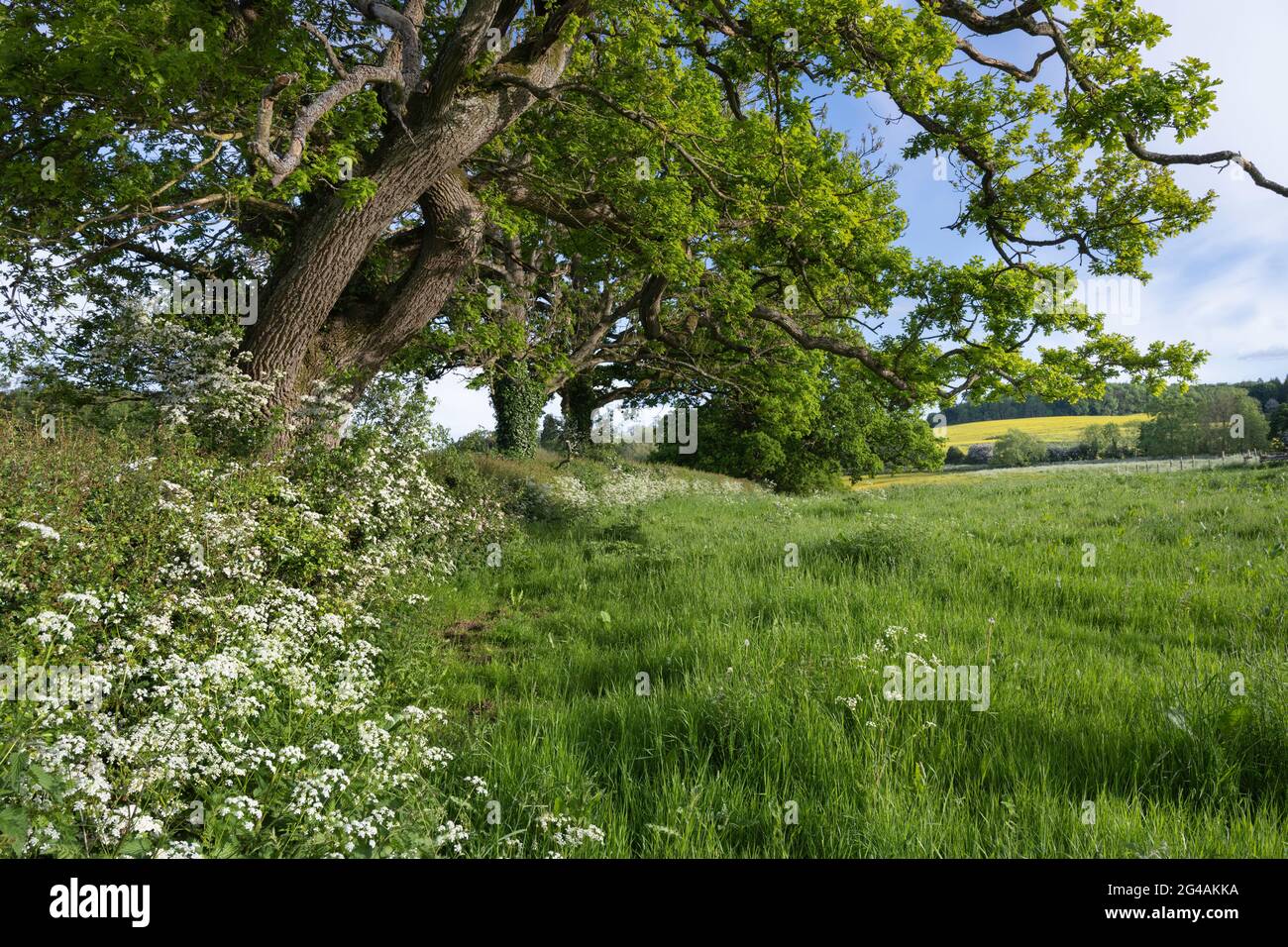 Stow on the wold spring hi-res stock photography and images - Alamy