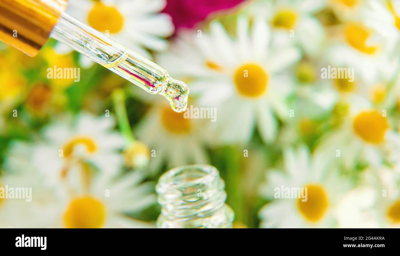 Tincture of herbal extract in a pipette drop. Selective focus. Nature ...