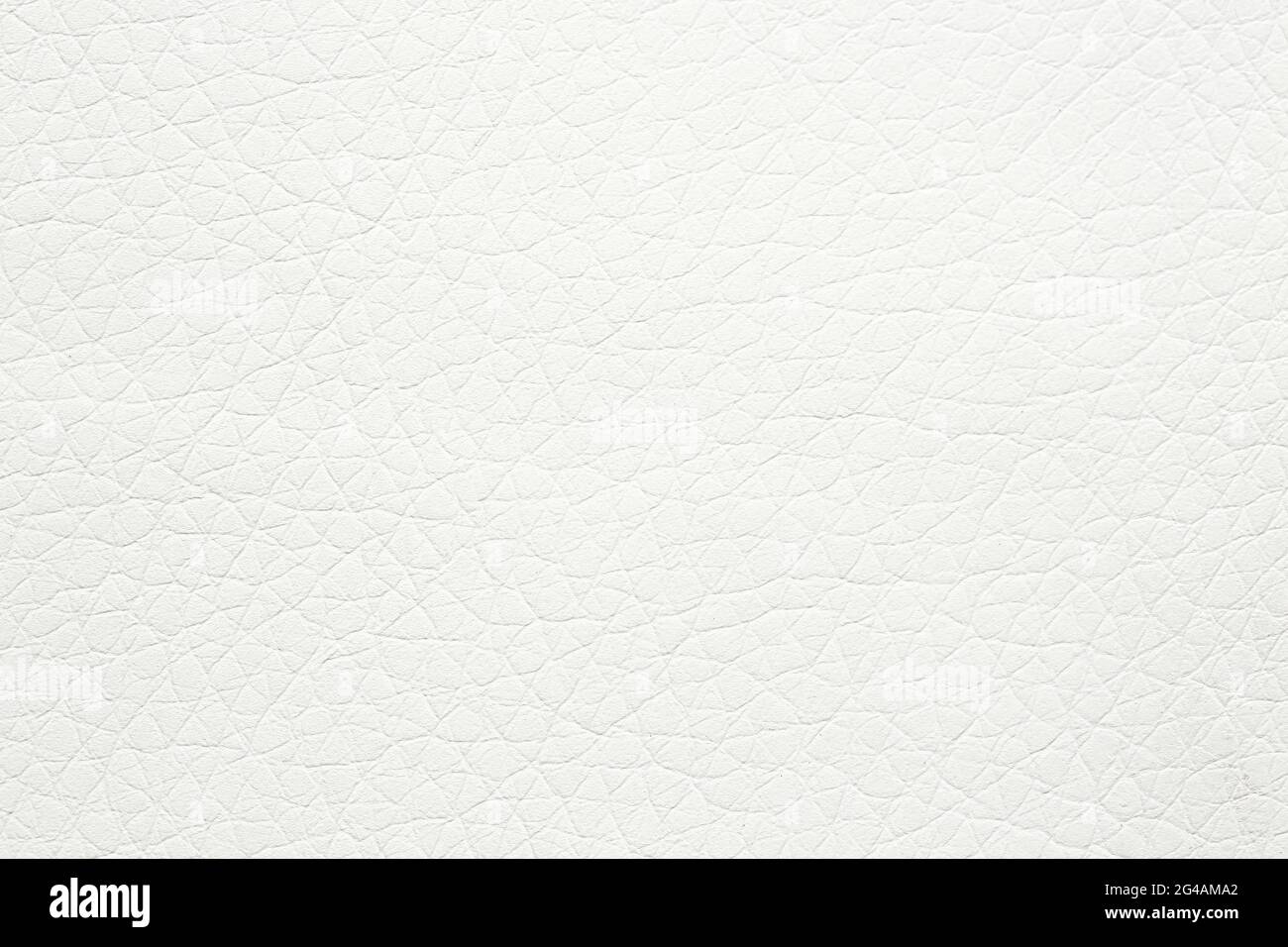 Clean leatherette texture in white tone. High quality texture in ...
